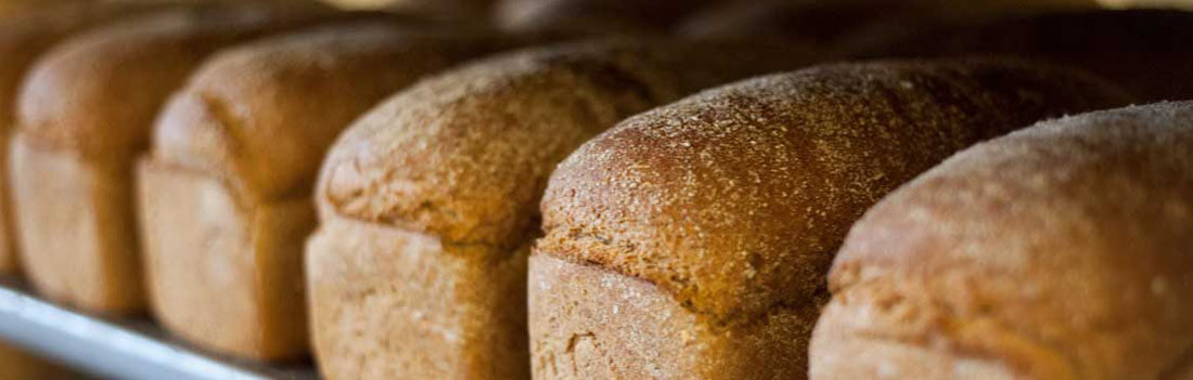 Bakkerij de Knollentuin verlost van muizenprobleem | GONE pest control