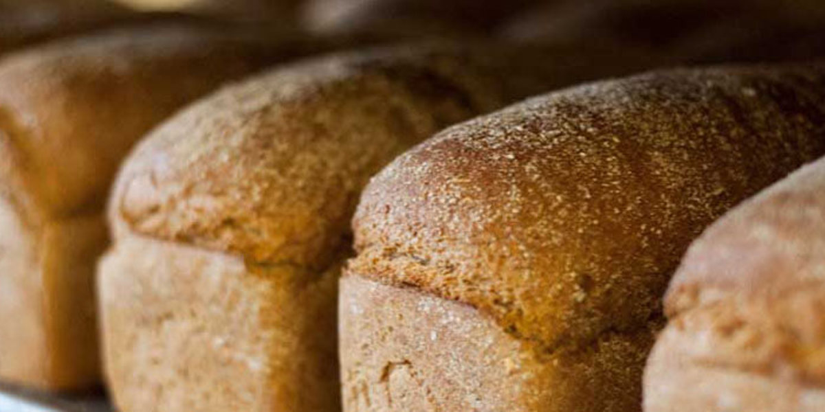 Bakkerij de Knollentuin verlost van muizenprobleem | GONE pest control